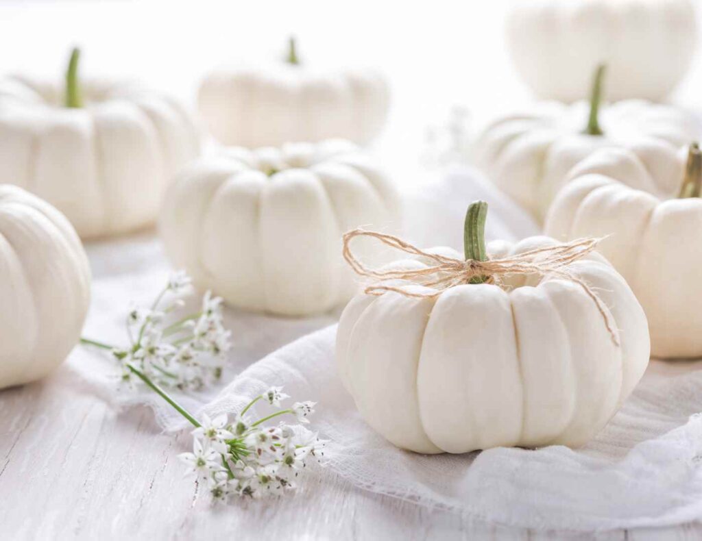 turn your home into a Thanksgiving haven - Ara Engineering